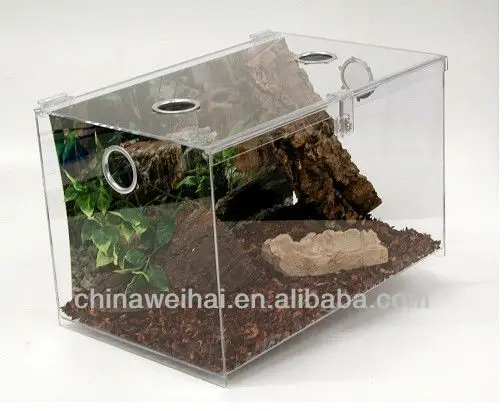 Transparent Acrylic Snake Display Case - Cobra Transparente