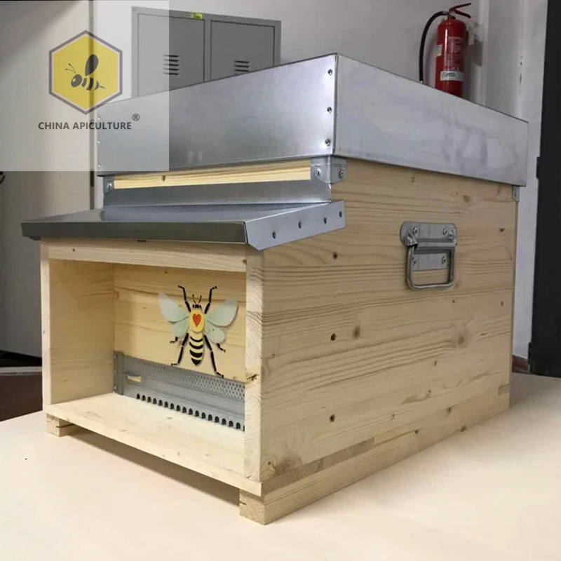 Dadant Bee Suits & Dadant Beehive - Quality Beekeeping Gear