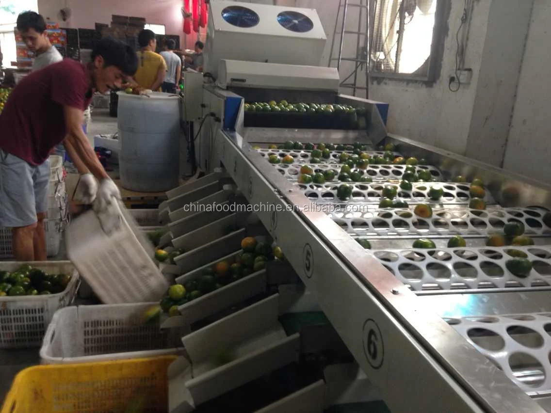 Fruit And Vegetable Sorting Grading Machine For Apple / Potato / Onion ...