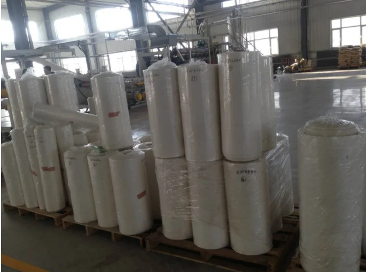 Biodegradable Thermoforming PLA Sheet - Versatile & Durable