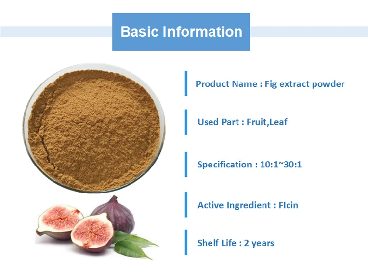 Gmp Hot Selling High Quality Fig Extract Leaf Extract Powder - Buy Fig ...