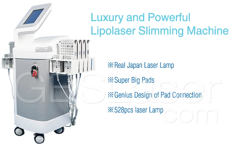 12 Paddles I Lipo Laser / Dual Wavelength Lipolaser Slimming / 176 ...