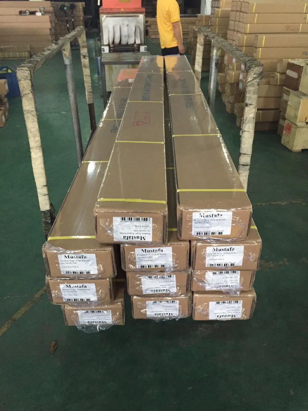 200 Inch Projector Screen - Motorized & Matt White