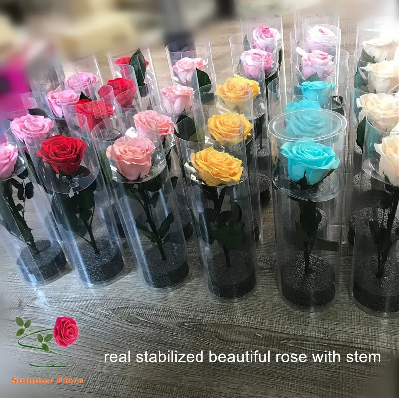 Wholesale Preserved Flower Real Stabilized Roses Beautiful Preserved ...