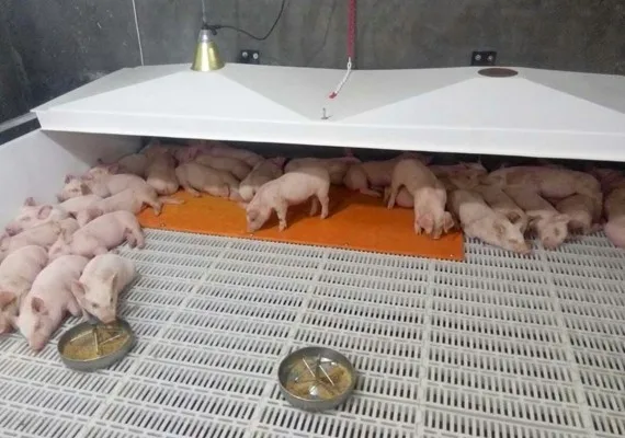 Hot Sell Pig Farm Poultry Floor Grate - Durable & Lightweight