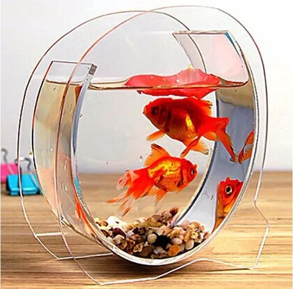 Hot Sale Clear Acrylic Fish Tank With Divider - Buy Acrylic Fish Tank ...