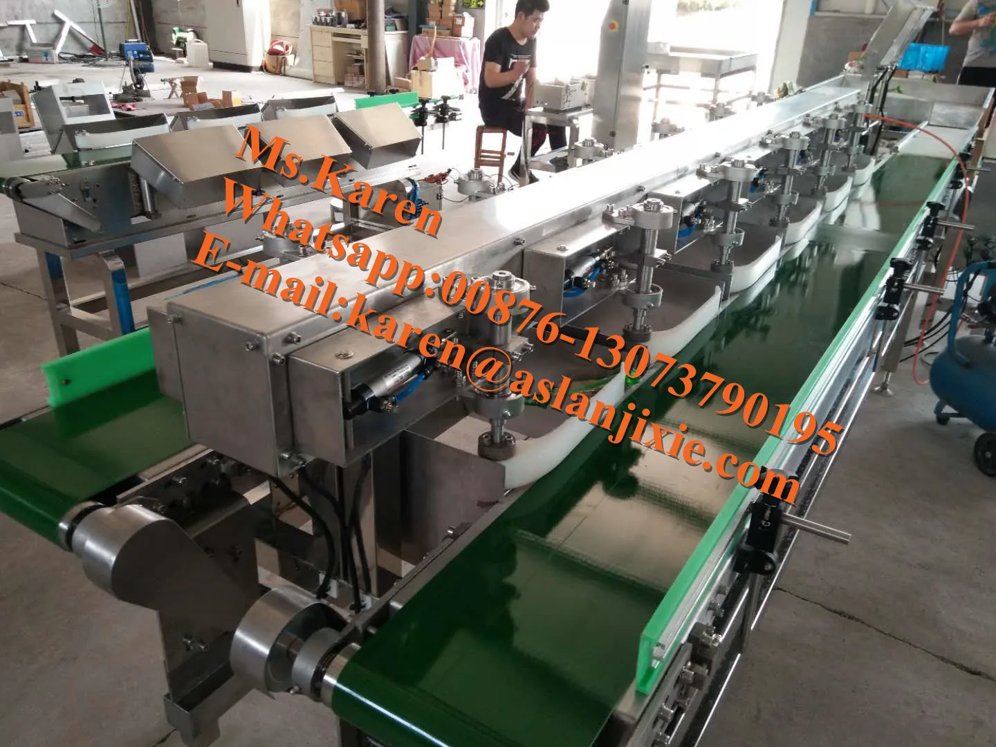 Automatic Fish Grader Machine - Efficient & Reliable