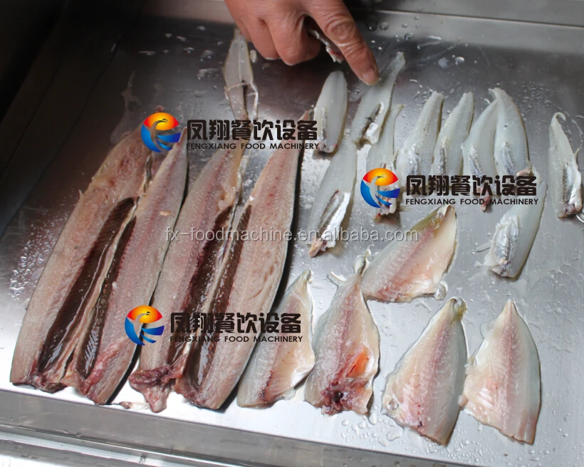 Fgb-168 Industry Anchovy Filleting Machine,Anchovy Processing Machine ...