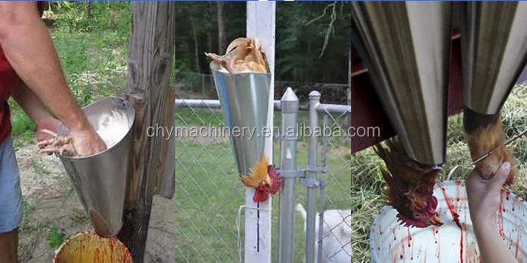 Chicken Killing Cone / Kill A Broiler Cone Used For Slaughtering ...