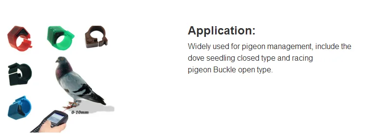 Animal Rfid Ring Tag For Bird Legs Tracking Device Chicken Rings Pigeon ...