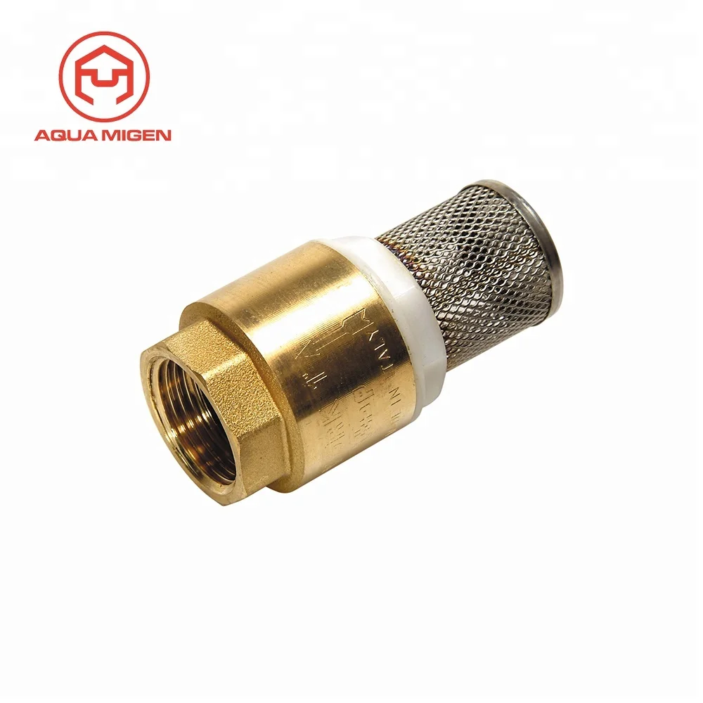 3" Brass Core Inline Brass Foot Valve With Stainless Steel Filter ...