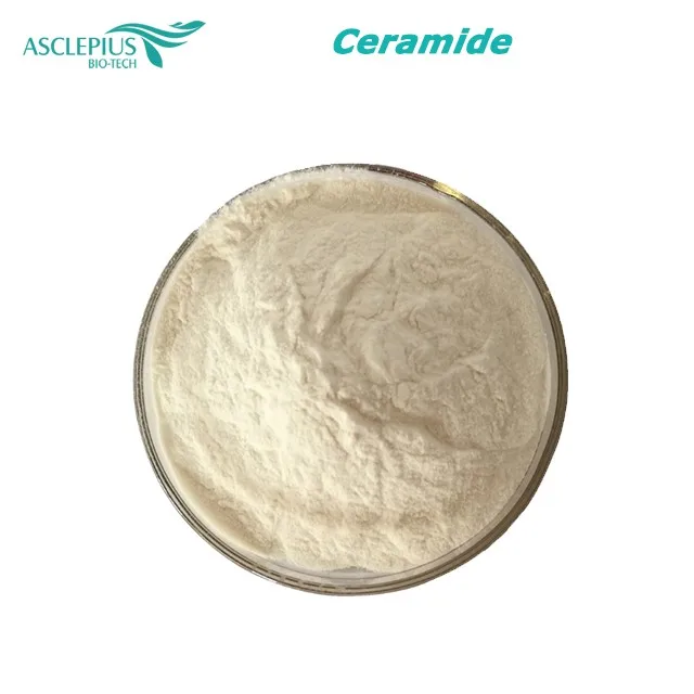 Factory Supply Bulk Ceramide 3 Powder - Buy Factory Supply Bulk ...