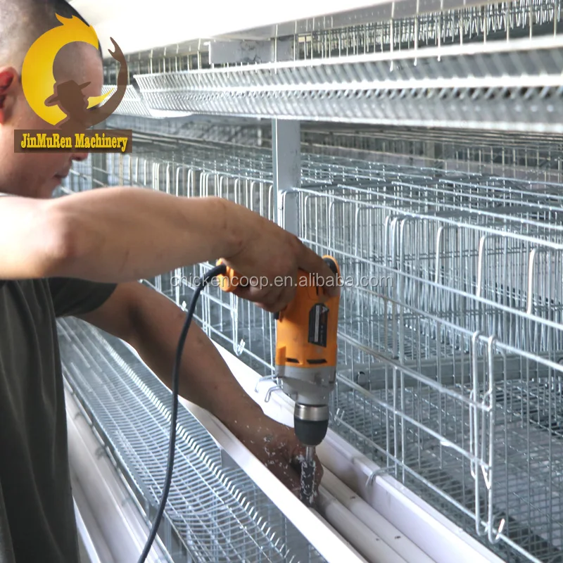Hot Selling Automatic Egg Collecting System Battery Chicken Egg ...