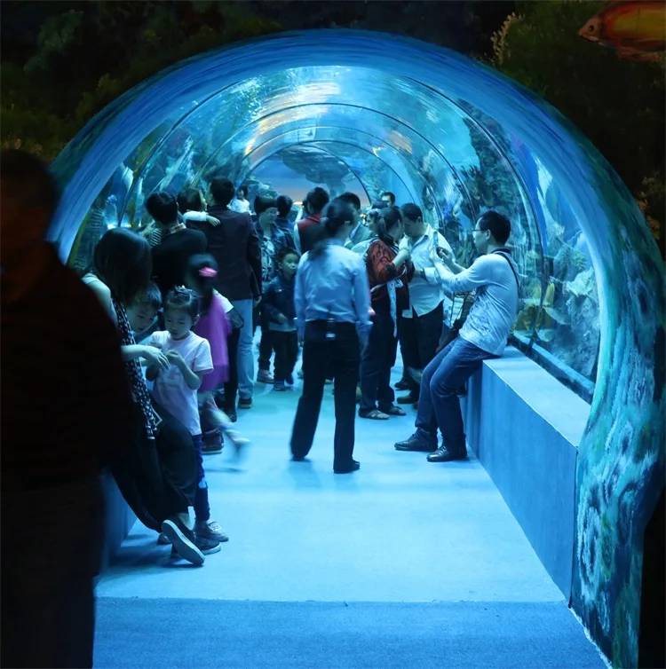 Customized Transparent Acrylic Aquarium Tunnel Project
