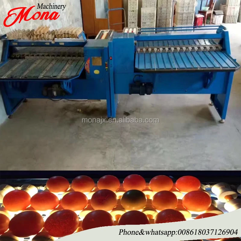 4000-10000pcs/h Automatic Hen Egg Grading System/egg Grader With Vacuum ...