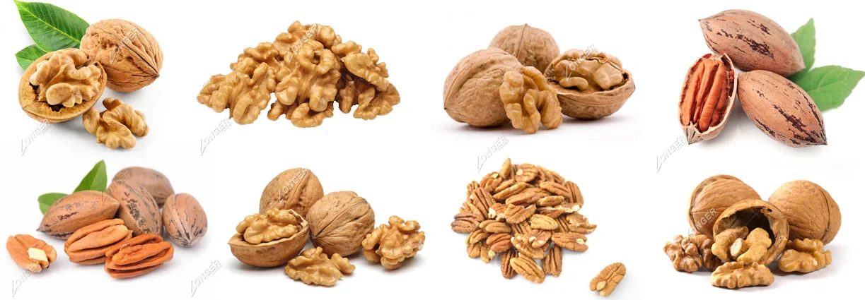 Walnut Shelling Machine - Efficient Walnut Peeling & Husk Cleaning ...