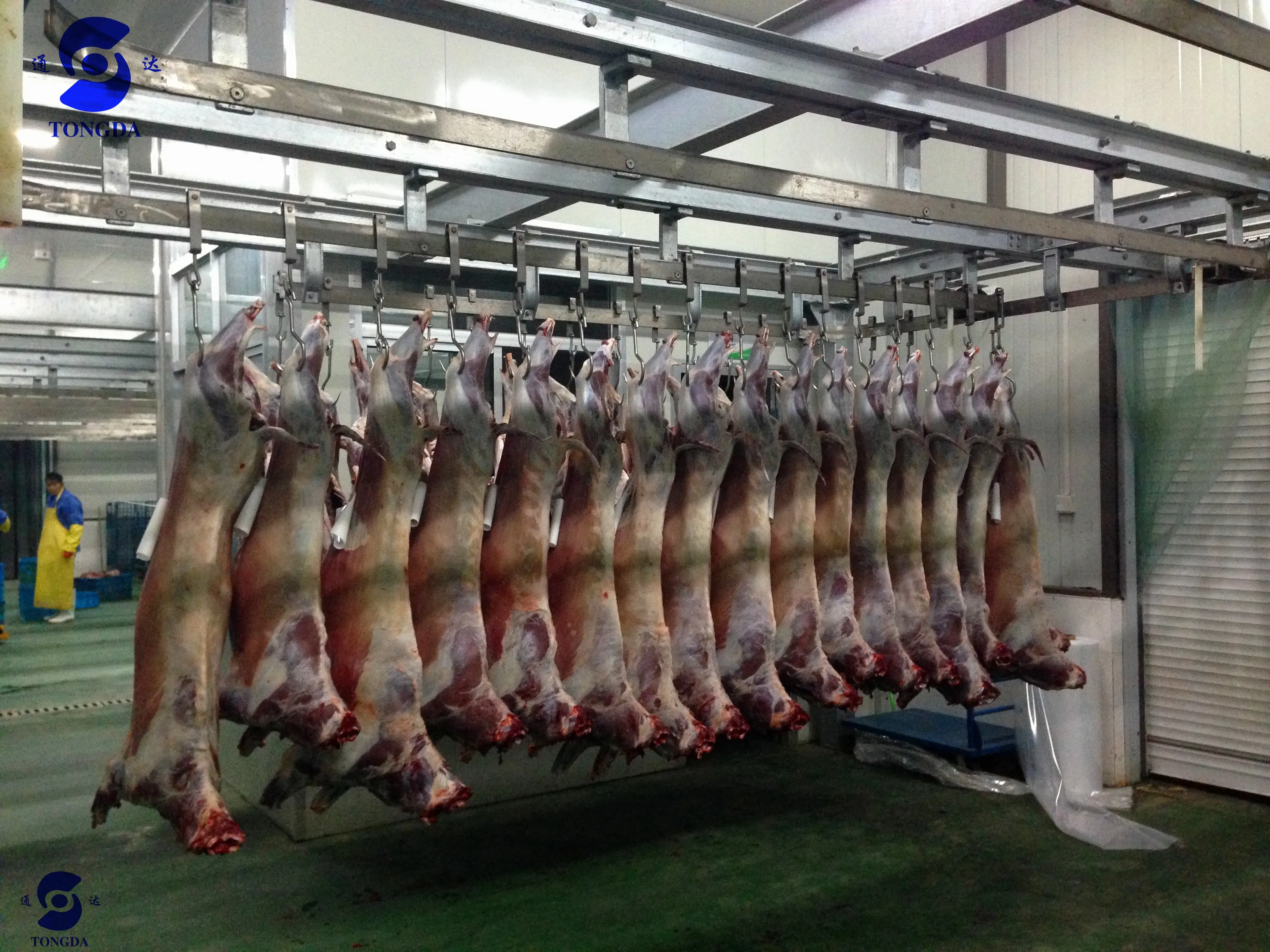 Cattle And Sheep Slaughter Equipment For Cattle Slaughterhouse - Buy ...