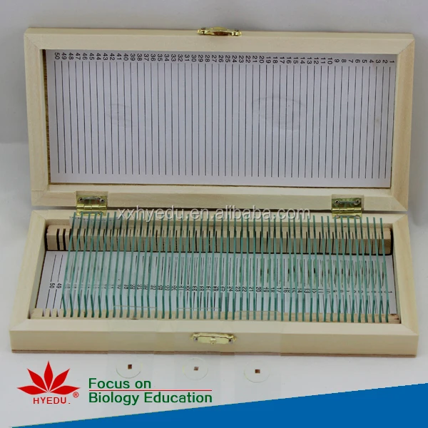 Individual Slides You Can Choose From Human Histology Tissue Slides Set ...