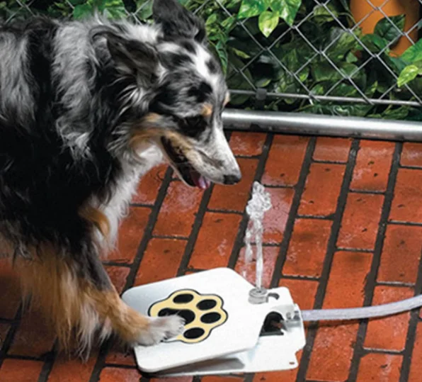 Outdoor Dog Water Fountain Step On Dog Water System Dogs Water ...