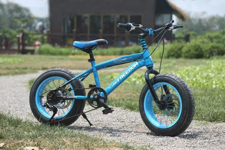 16 Inch Fat Tire Snow Bike Children/female Mountain Bikes Racing ...