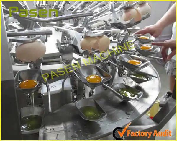 Egg Production Line - Efficient Egg Breaking Machine