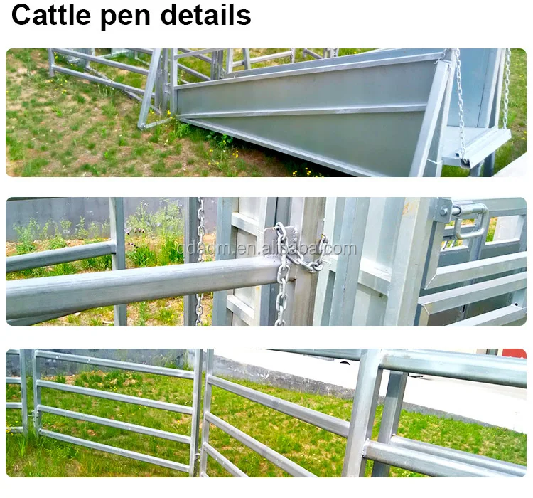 Adjustable Cattle Loading Ramps - Efficient & Durable