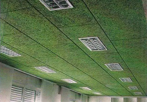 20mm Thickness Straw Acoustic Panels Wood Wool Insulation Board - Buy ...