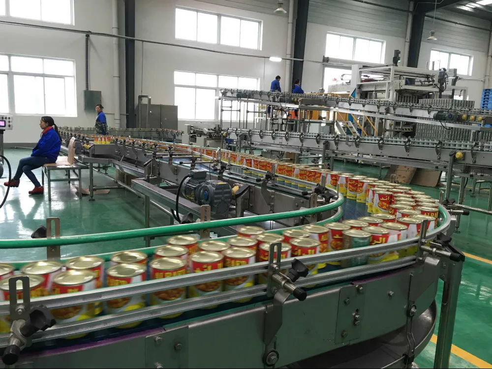 Can (tinned) Packaging Vegetables Canned Food Foul Medames From Zigui ...