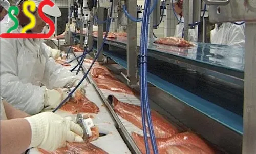 Portable Light Pin Bone Removing Machine - Efficient Fish Bone Remover