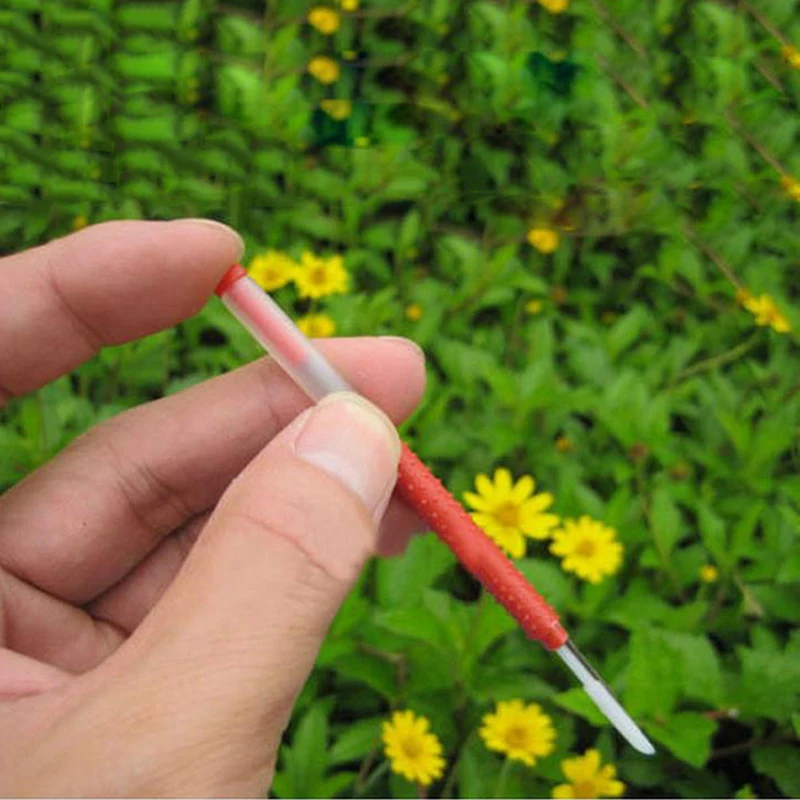 Chinese Queen Bee Grafting Tools For Beekeeping - Buy Queen Bee ...