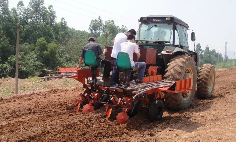 Cassava Planting Machine 2 Linha With Rod Flat Type Cassava Planter Machine Cut Buy Manioc