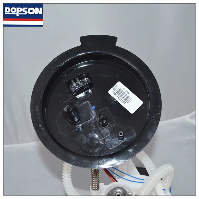 Dopson Brand Electric Fuel Pump Module Assembly Oe 16117314806 Auto ...