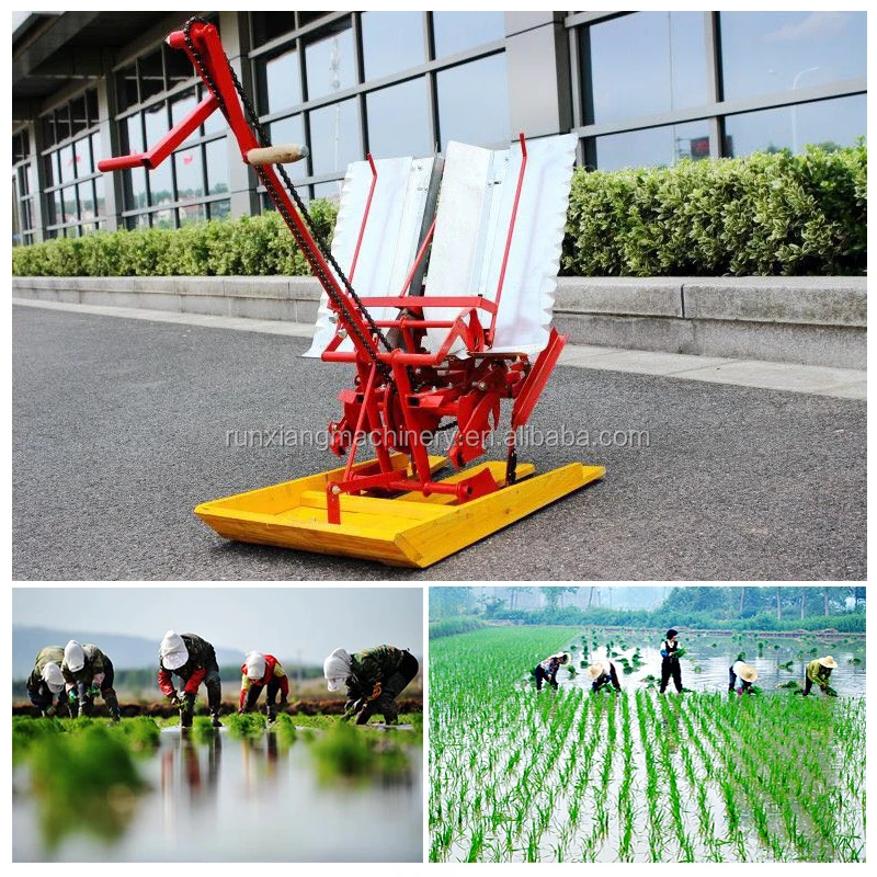 Rice Planter for Sale - Efficient Paddy Transplanting
