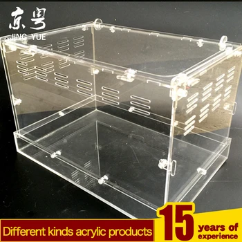 Indoor Acrylic Scorpions Spiders Insects Reptile Cage Terrarium - Buy ...