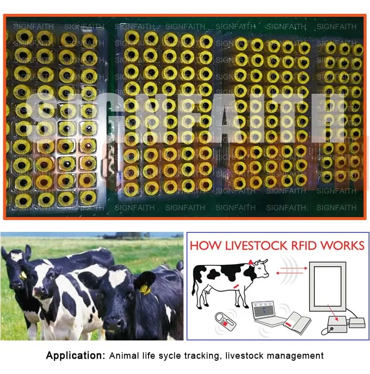 Rfid Barcode Cow Earring Pig Livestock Uhf Goat Eartag Animal Cattle ...