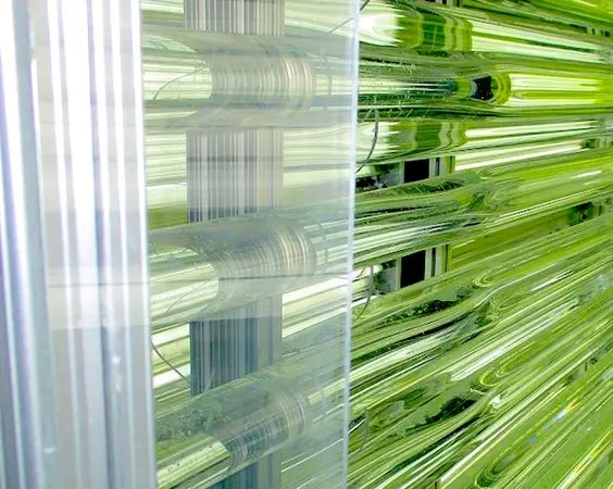 Large Diameter Clear For Algae Living Glass Tube Elbow Tube For Indoor ...