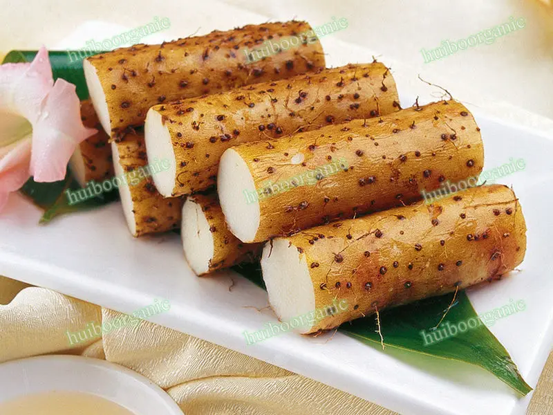 Yam Powder - Premium Chinese Yam Extract with Dioscin