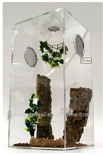 Transparent Acrylic Snake Display Case - Cobra Transparente