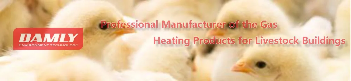 DAMLY (Zhengzhou) Environmental Technology Co., Ltd. - gas brooder for ...