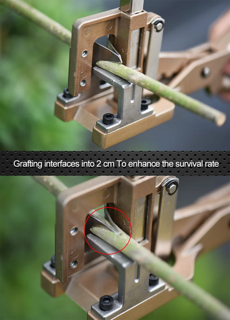 New Function Grafting Tools Which Grafting 2 Cm Machine Made In ...