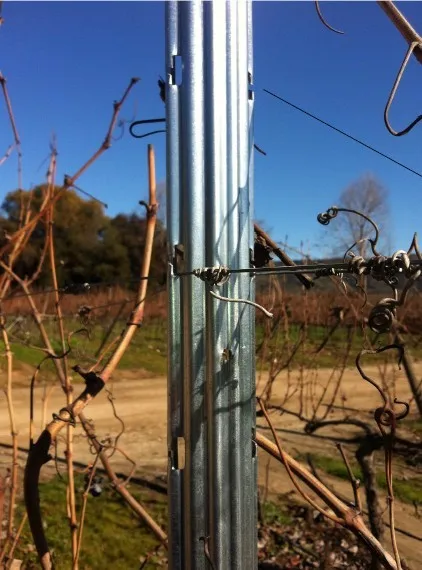 Wholesale Top Quality Galvanized Vineyard Post Fencing,Trellis & Gates ...