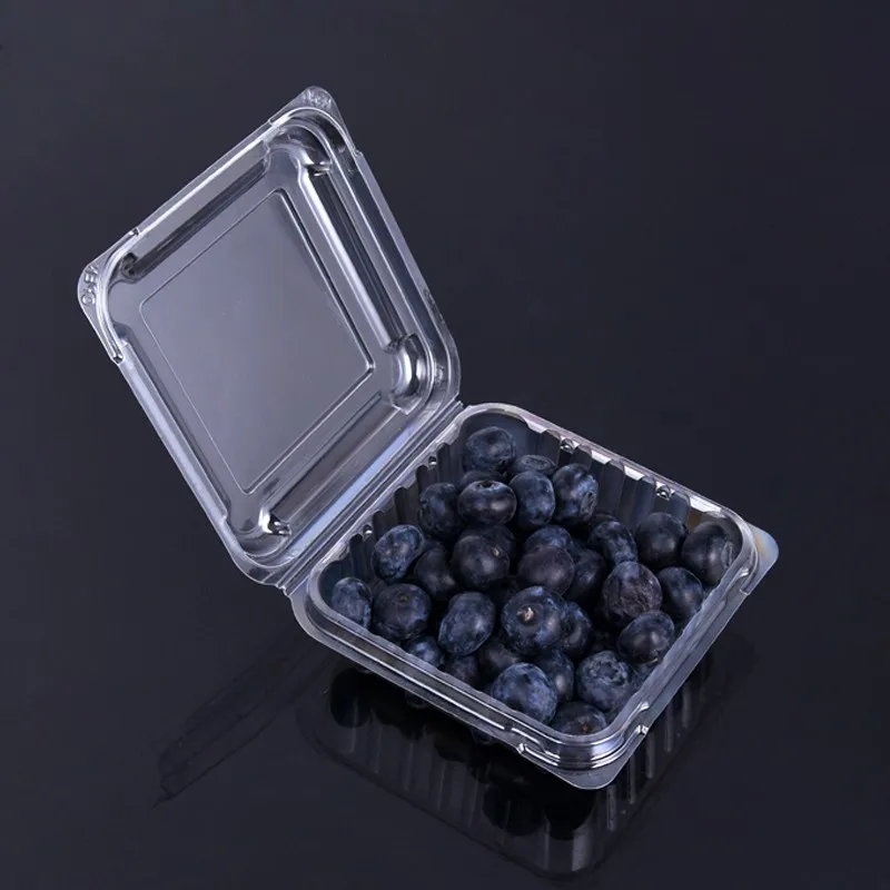 Clear Plastic Fruit Boxes with Holes - Ideal for Berries
