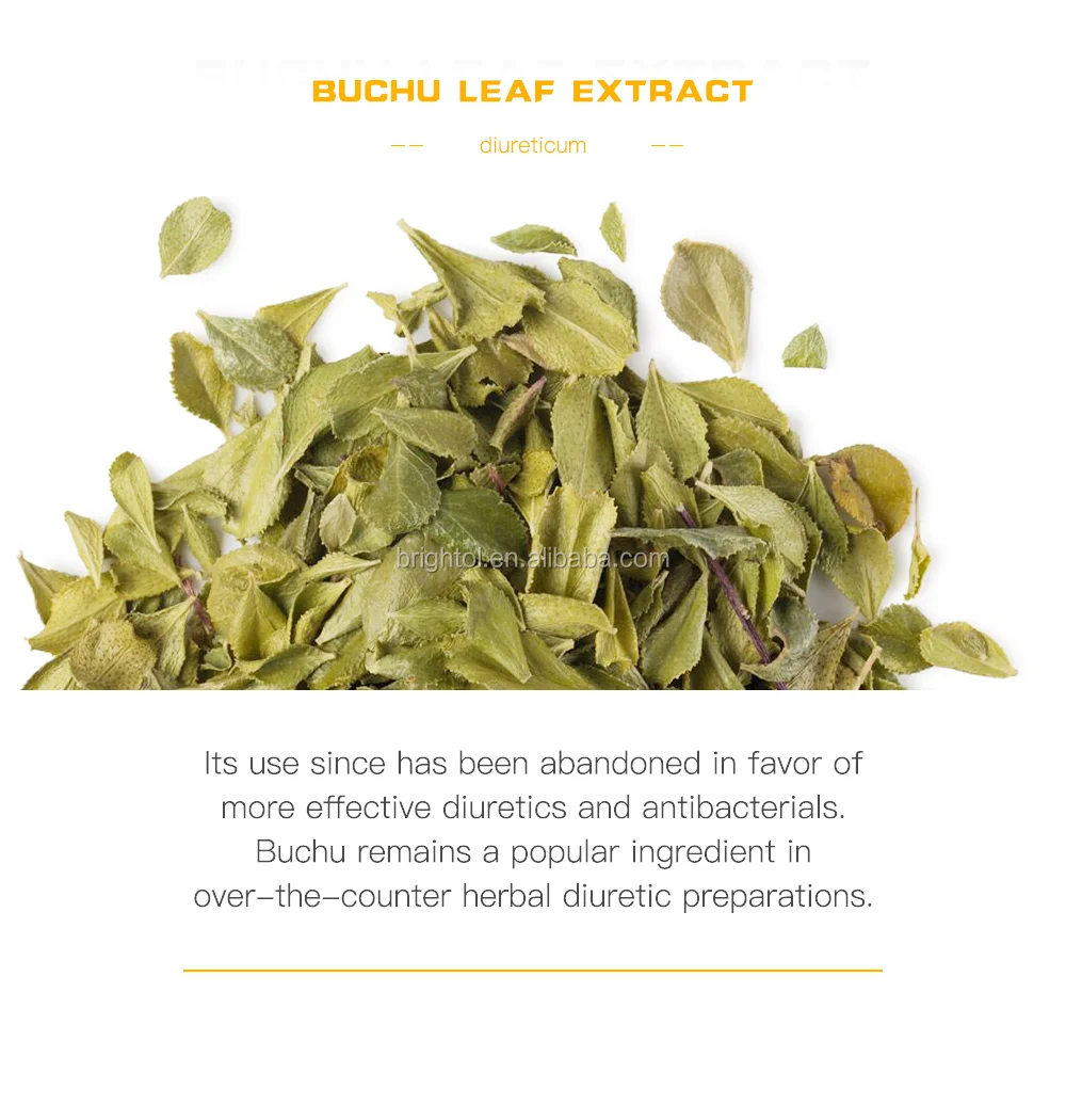 Agathosma Betulina Buchu Leaf Extract - Buy High Quality Buchu Leaf ...