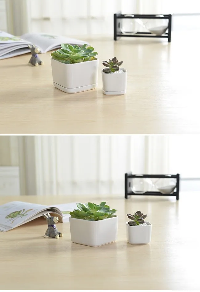 Indoor Rectangular White Mini Ceramic Pots For Succulent Plants Buy