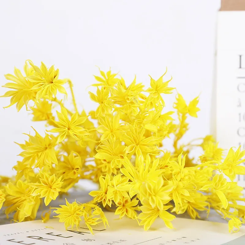 Octagon Flowers - Perfect for Preserved Flower Arrangements