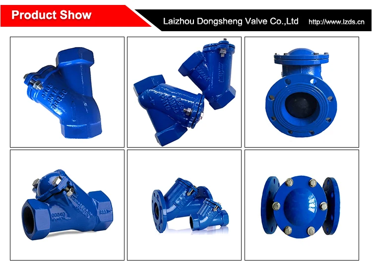 Cast Iron Vertical Ball Float Check Valve - DSV-C Model