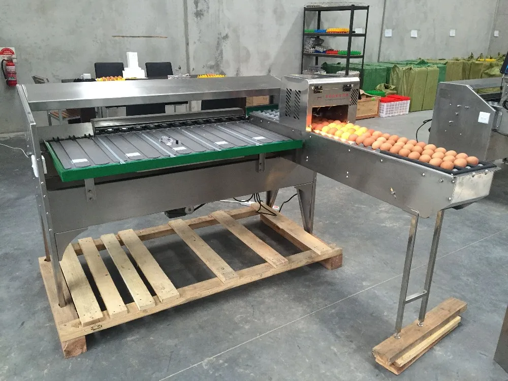 Egg Weight Classifier/egg Grading Packing Machine/egg Sorter - Buy High Quality Egg Sorter,Egg ...