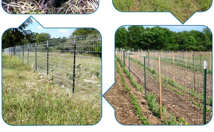 American Steel Studded T Fence Post 10 Ft Galvanized Fence Post For ...