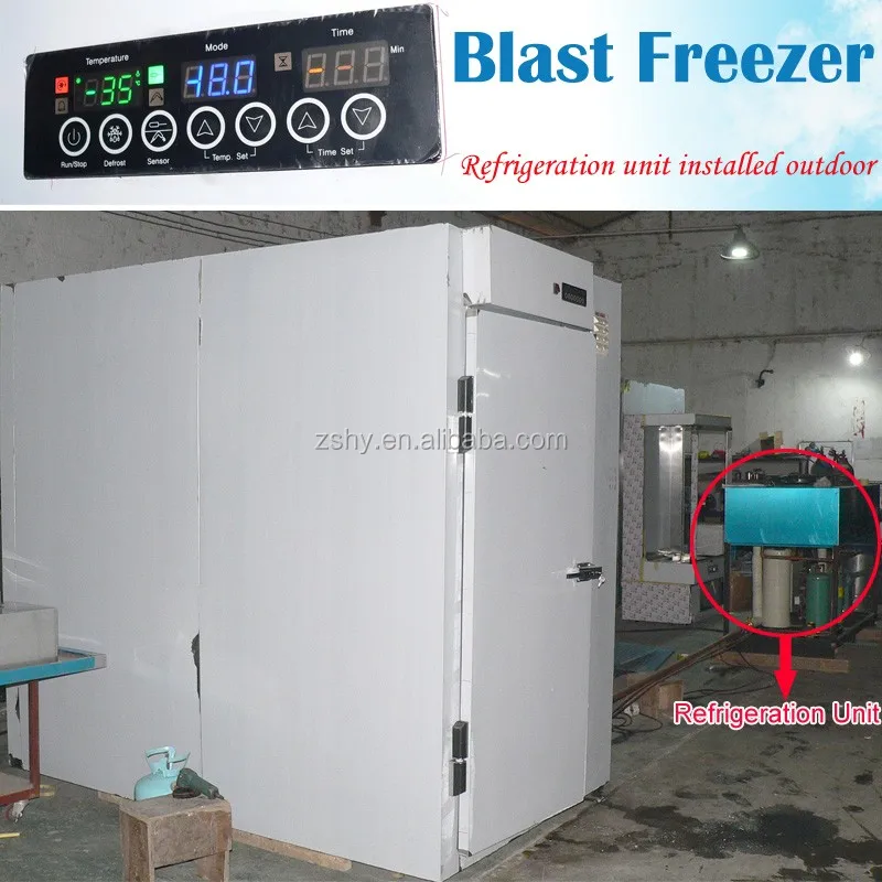 Automatic Freezing Blast Freezer With 2 Trolleys - Buy Blast Freezer ...