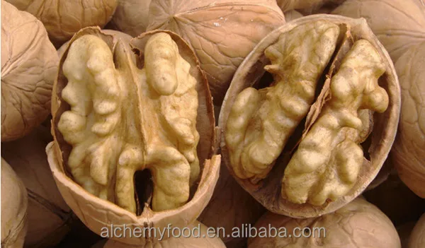 Low Price Walnut Shell Xinjiang Big Walnuts - Buy Low Price Walnut ...